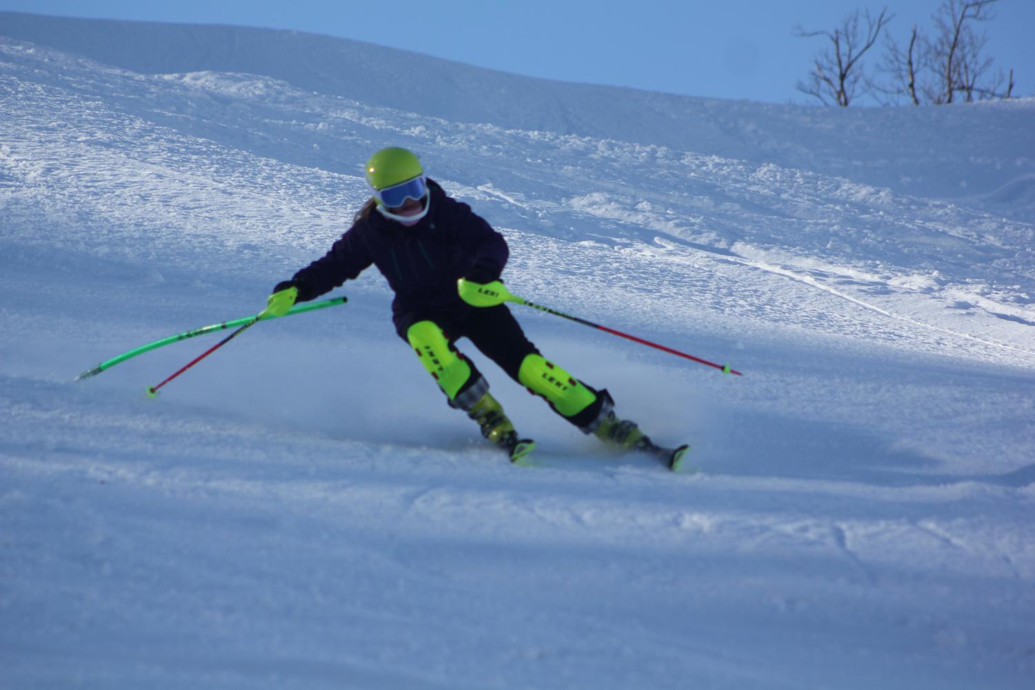 Ski Team members tackle slopes at state - Brookfield Central Tyro